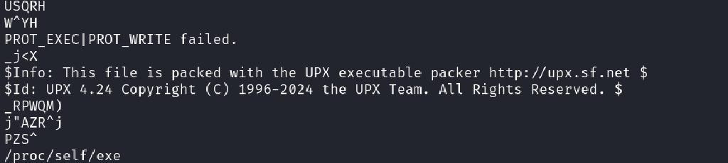 KnightCTF 2025 Writeup